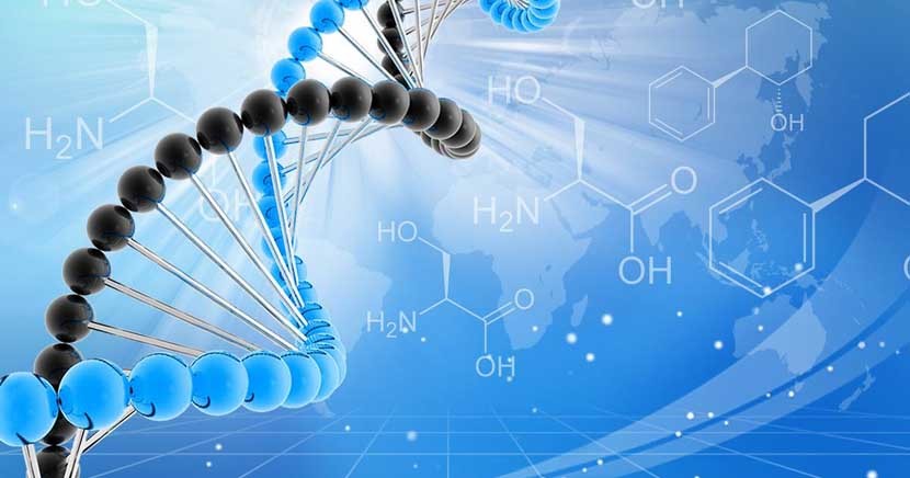 人类DNA蕴涵了生命的代码