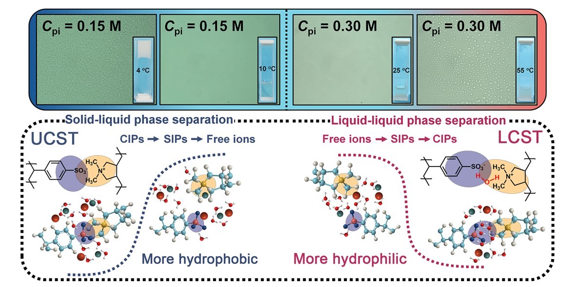 Distinct Cation Anion Interactions In The UCST And LCST Behavior Of Distinct Cation Anion Interactions In The UCST And LCST Behavior Of